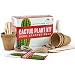 Cactus Kit - Grow Your Own Cacti Plants Indoors - Unusual Gardening ...