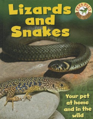 Lizards and Snakes (Pets Plus): Morgan, Sally: 9781599207049: Amazon ...