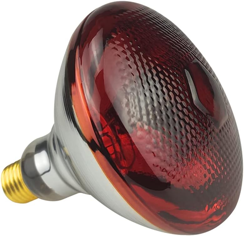 Amazon.com: BONGBADA 2 Pack Heat Lamp Infrared Bulbs PAR38 Glass Lamp ...