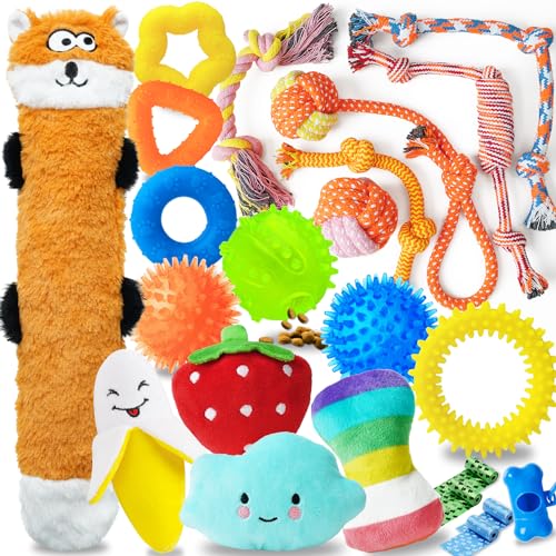 Puppy Toys – The 15 best products compared - Wild Explained