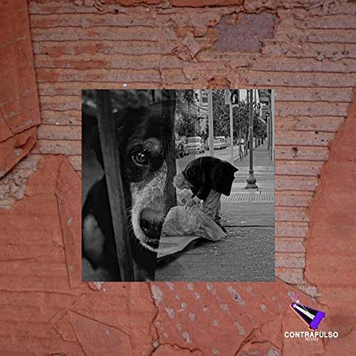 Prorrogados de Ratalia no Amazon Music Unlimited