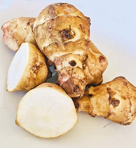 Amazon.com : Sunchokes - 5 pounds (5 lbs) for Planting or Eating FEDEX ...