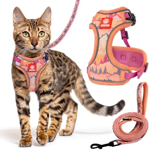 Escape Proof Cat Harness – The 15 best products compared - Wild Explained