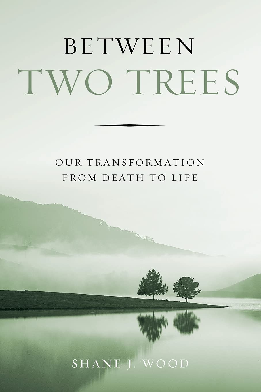 Between Two Trees: Our Transformation from Death to Life: Shane J Wood ...