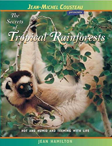The Secrets of Tropical Rainforests: Hamilton, Jean, León, Vicki ...