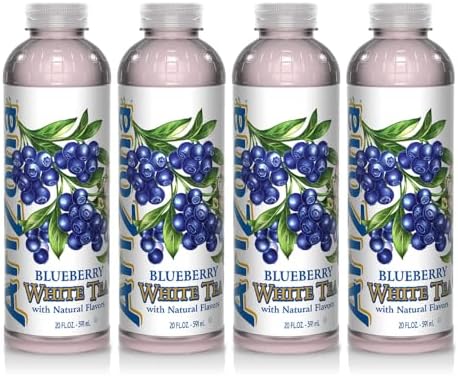 Amazon.com: AriZona Raspberry Tea - Big Can, 22 Fl Oz (Pack of 24)