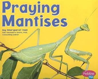Praying Mantises: Hall, Margaret: 9780736850988: Books - Amazon.ca