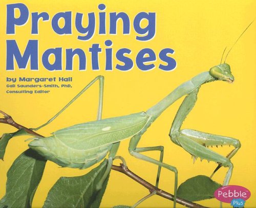 Praying Mantises (Pebble Plus: Bugs, Bugs, Bugs): Hall, Margaret ...