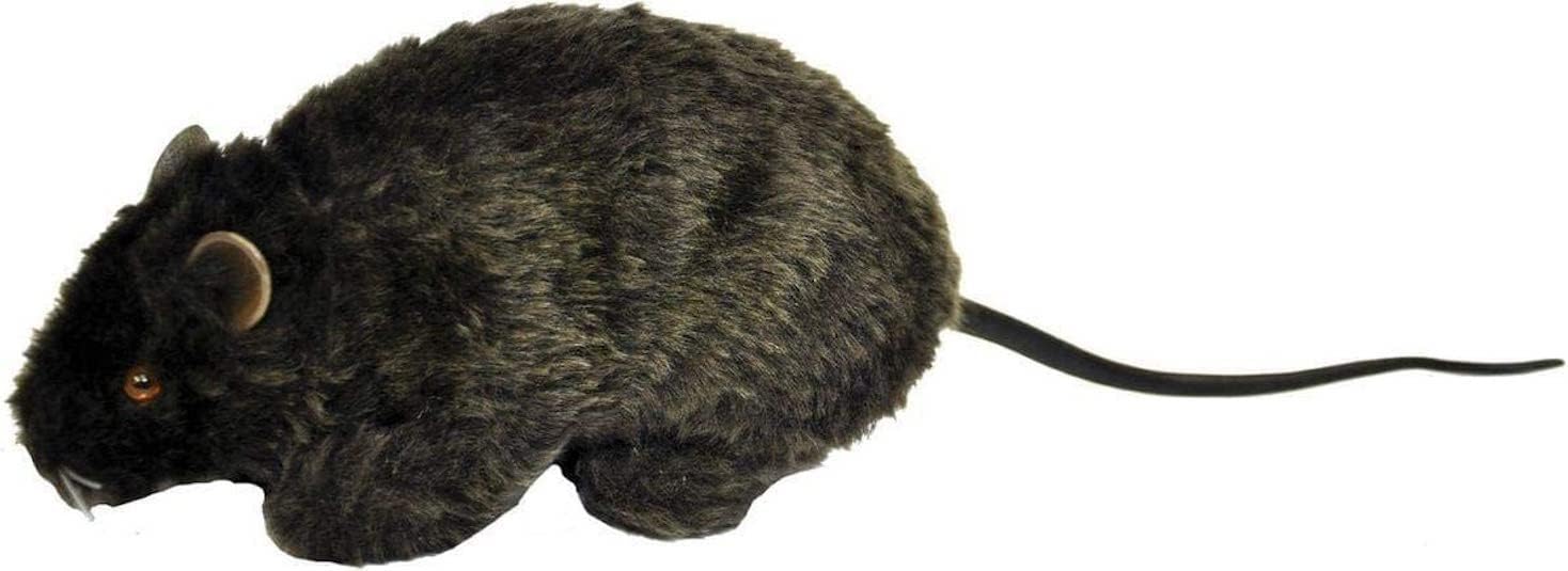 Amazon.com: Forum Novelties Real Looking Fake Rat Prop for Halloween ...