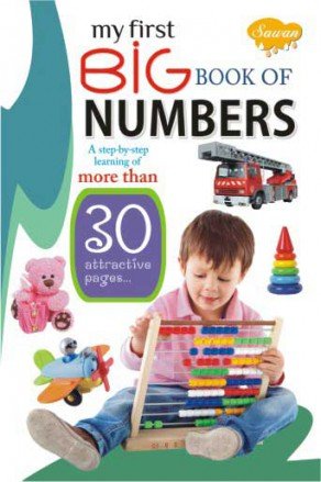 Buy My First Big Book of Numbers Book Online at Low Prices in India ...