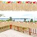 Amazon.com: Lyrow Natural Hawaiian Luau Grass Raffia Fringe Banner 143 ...