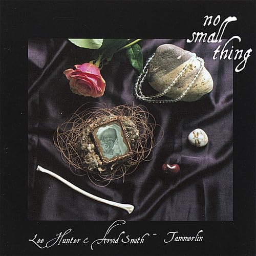 Amazon.com: No Small Thing: 0606713801523: Tammerlin, Steve Winwood ...