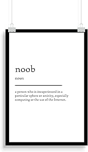 Amazon.com: MG Global Noob Definition Print, Noob Definition Poster, 20 ...