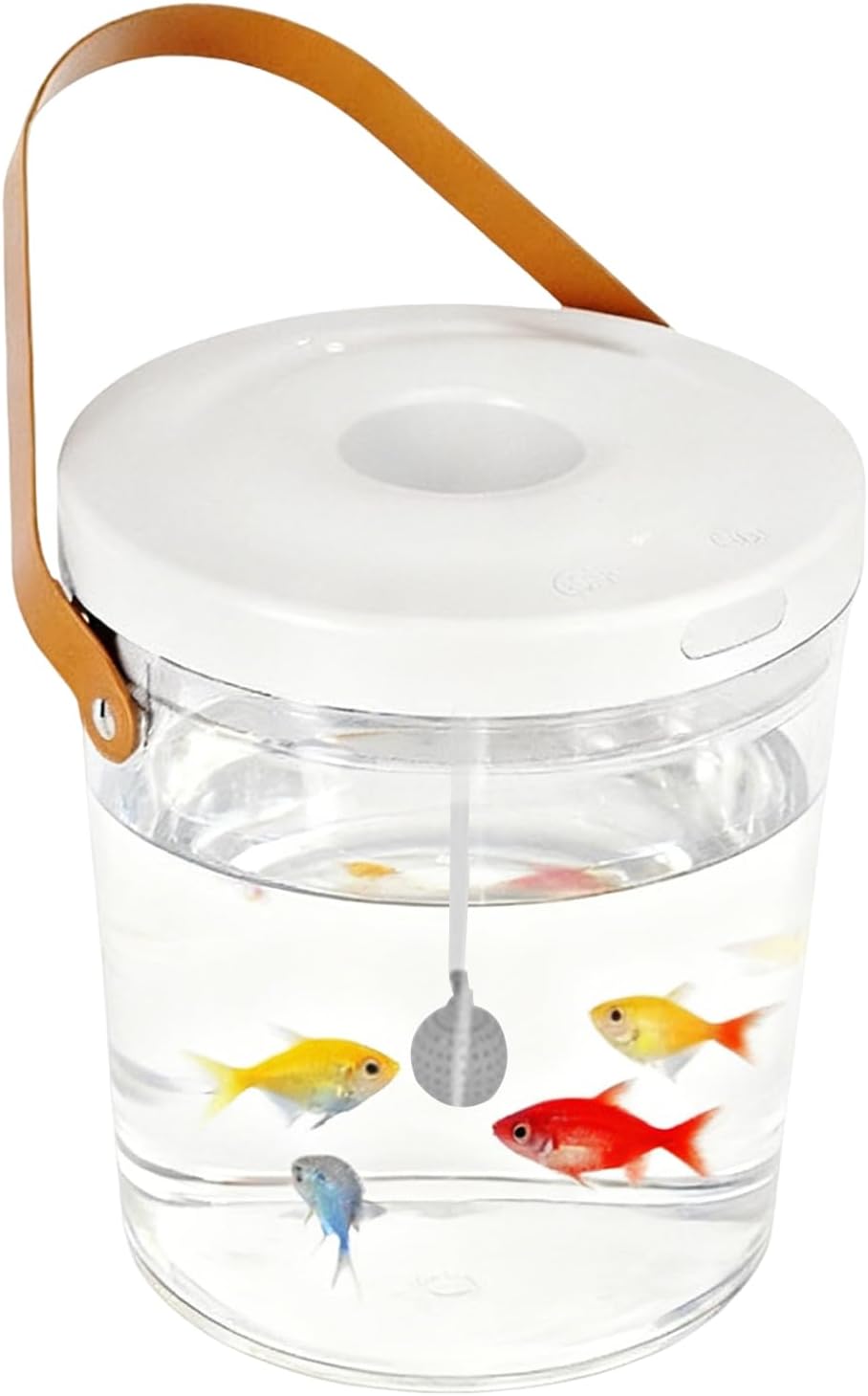 Travel Fish Tank - with Light Quiet Clear Oxygen Circulation Bucket ...