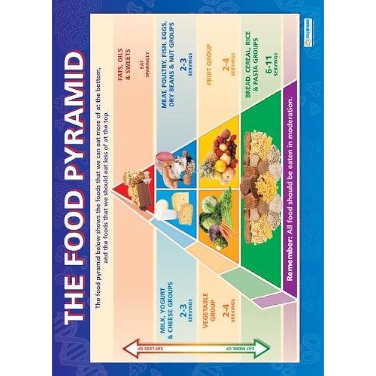 Educational Food Pyramid Poster - Large Format - Australia | Ubuy
