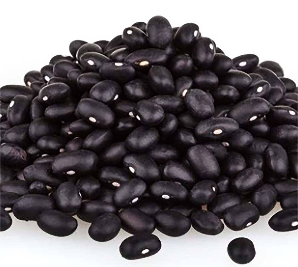 Black Bean Plant