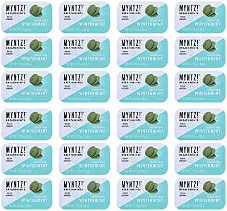 Amazon.com : Myntz Blast Breathmints, Sugar Free 1.75-Ounce Containers ...