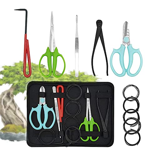 Top 10 Beginner Bonsai Tool Kit of 2022 - Katynel