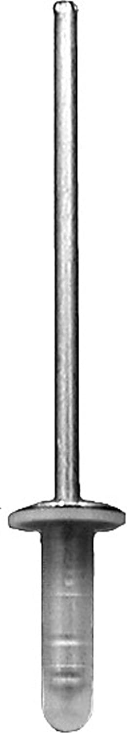 Amazon.com: 15 Windshield, Side & Trunk Moulding Rivets For Lexus ...