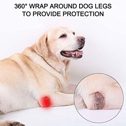 MiOYOOW Dog Knee Brace, Breathable Dog Elbow Brace Adjustable Pet Knee ...