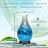 Amazon.com: MAXWINER Essential Oil Diffusers Handmade Art Glass ...