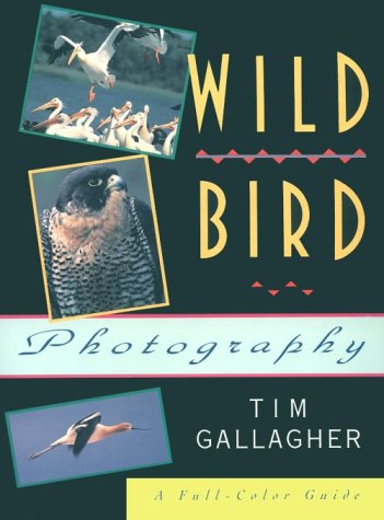 Amazon.com: Wild Bird Photography: 9781558213104: Gallagher, Tim: Books