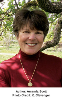 Amazon.com.br: Amanda Scott: livros, biografia, última atualização