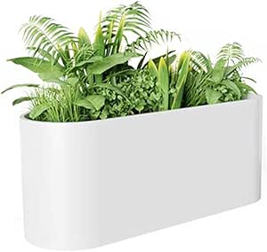 Amazon.com: Sions Large Metal Planter, Vintage Oblong Galvanized Metal ...