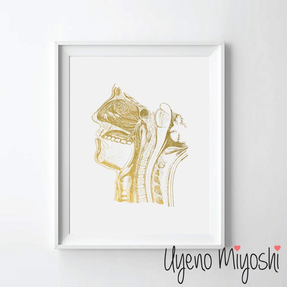 Human Head And Neck Anatomy Gold Foil Print Gold Print | Desertcart Cyprus