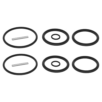 Amazon.com: Pool Backwash Valve O-Ring Kit 263054 Replacement Pen/tair ...