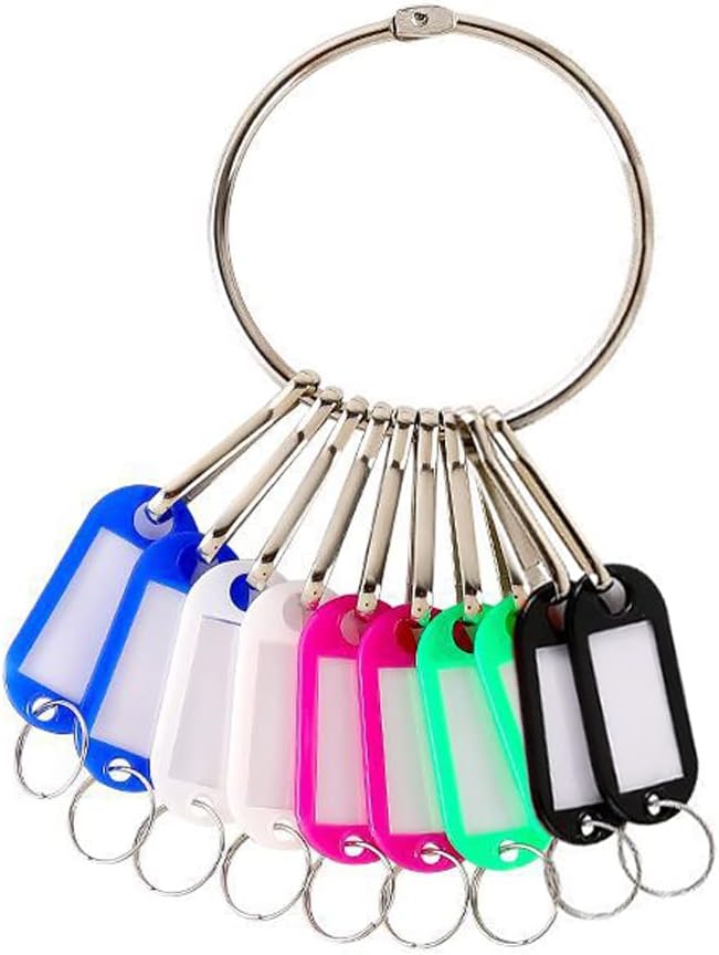 Amazon.com: Metal Ring Key Organizer Holder with 10 Key Tags and Spring ...