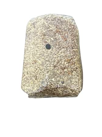 Amazon.com: 3lb Organic Sterile Mushroom Grain Spawn, 100% Hydrated Rye ...