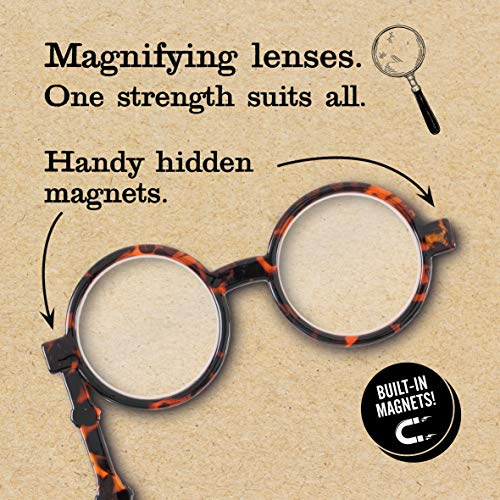 Snapklik.com : Simply Marvellous Magnetic Spectacles Tortoiseshell Round