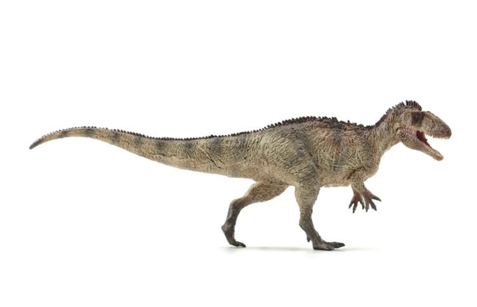 Dinosaur Revolution Sinraptor