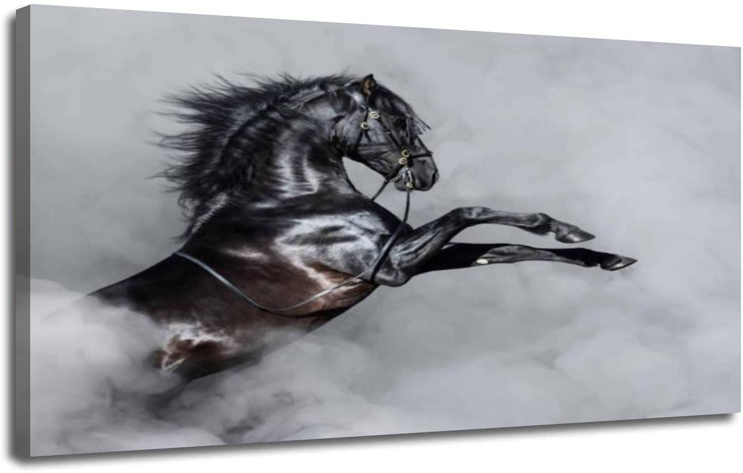 Rearing Andalusian Wallpaper