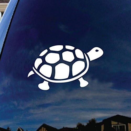 Amazon.com: SoCoolDesign Tortoise Turtle Tropical Car Window Vinyl ...