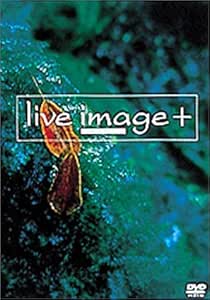 Amazon.co.jp: live image+ ― 010531 ― [DVD] : 葉加瀬太郎, GONTITI, 葉加瀬太郎, 葉加瀬太郎, 鳥山雄司, 木村大, 羽毛田丈史, 三村 ...