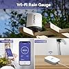 Amazon.com : RAINPOINT Wireless Digital Rain Gauge Outdoor with App ...