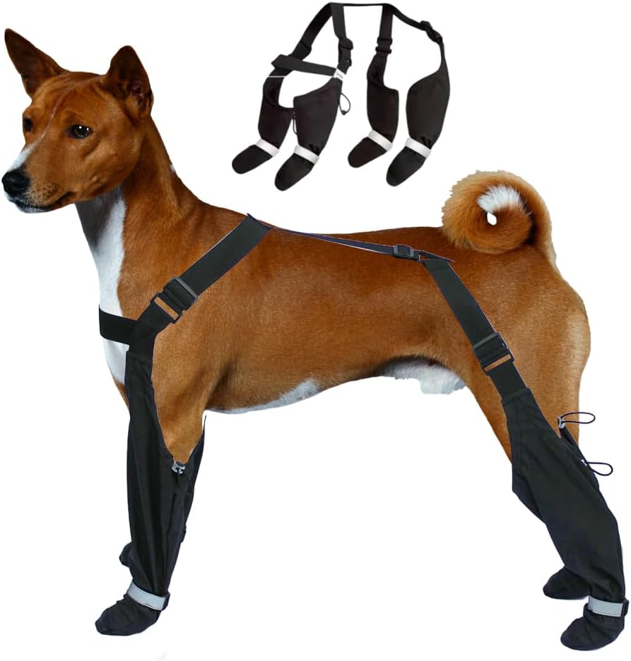 Amazon.com : Dog Suspender Booties, 2025 New Dog Paw Boot Leggings Anti ...