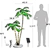 Amazon.com: Solar Lighted Palm Trees for Outside Patio, 5.2Ft 229 LED ...