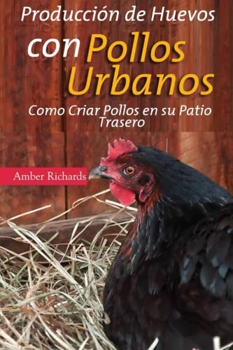 Producción De Huevos Con Pollos Urbanos. Como Criar Pollos En Su Patio ...