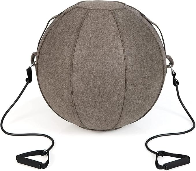 Buy PROSFIA 65cm Sitting Ball Chair for Office, Dorm, and Home ...