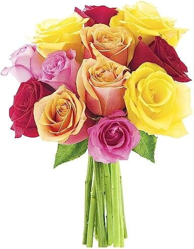 Amazon.com: KaBloom PRIME NEXT DAY DELIVERY - Mother’s Day Collection ...