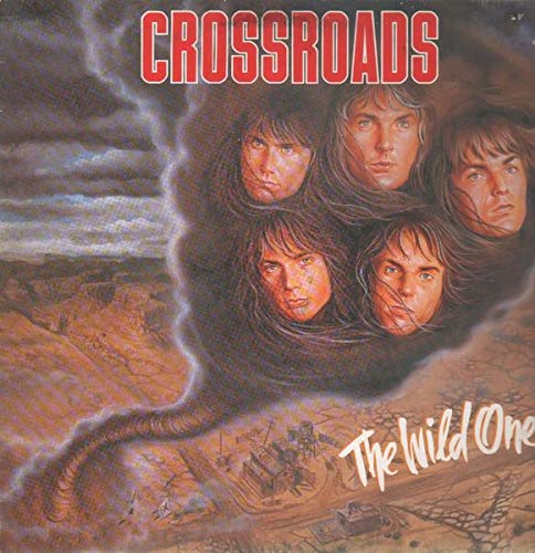 Amazon.com: Wild one (1991) / Vinyl record [Vinyl-LP]: CDs & Vinyl