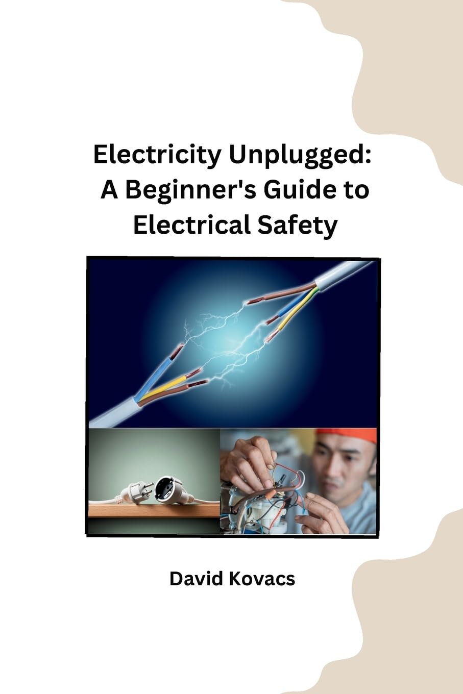 Electricity Unplugged: A Beginner's Guide to Electrical Safety : David ...