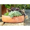 Pot Buddies Beatrix Potter Benjamin Bunny Figure Plant Pot Hanger ...