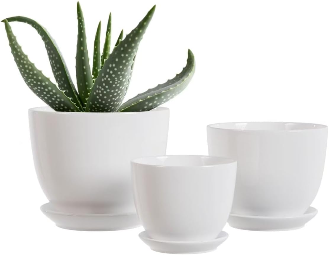 Amazon.com: White Ceramic Plant Pots,Set of 3 Indoor Flower Pot with ...