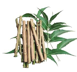Buy AG ENTERPRIZES Organic Fresh Quality Neem Sticks Datun For Healthy ...