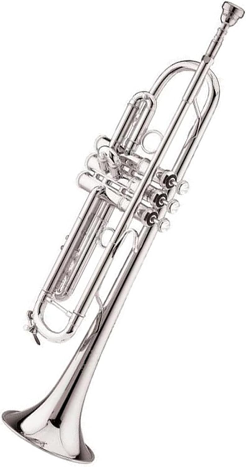 Amazon.com - TSTS Standard Trumpet Instruments Silvering Brass ...
