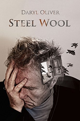 Steel Wool: Oliver, Daryl: 9781786126092: Amazon.com: Books
